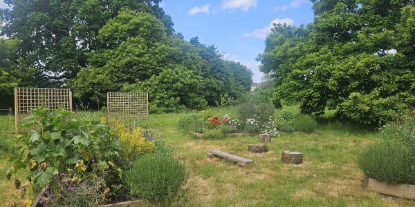 Hanham Health